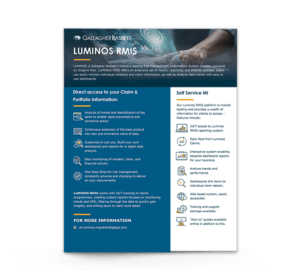 LUMINOS RMIS - Gallagher Bassett